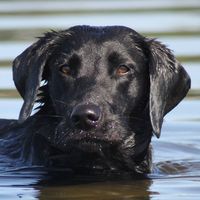 SkyGeek Reviews | 1,773 Reviews of Skygeek.com | ResellerRatings